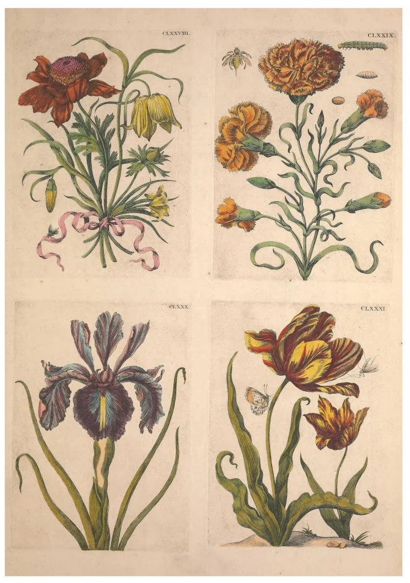 Free Floral Vintage Printables — The Art Scavenger