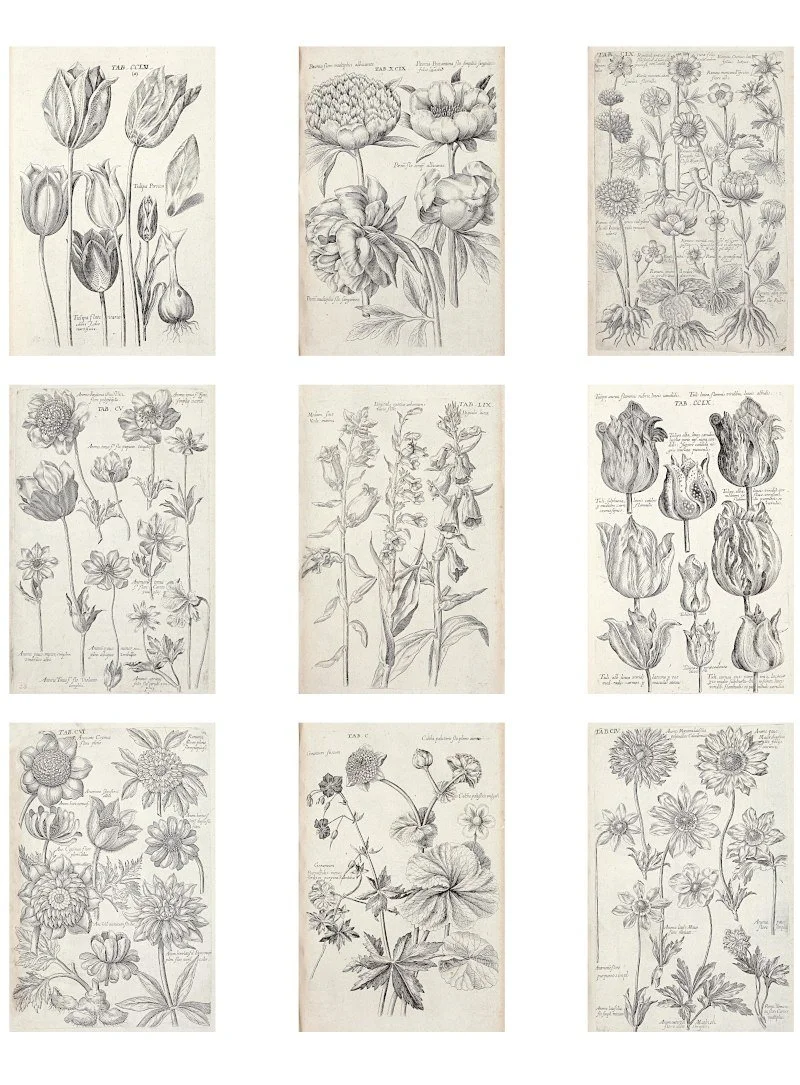 Free Vintage Flower Printables — The Art Scavenger