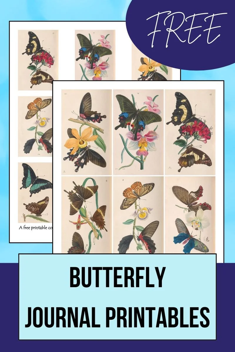 Free Vintage Butterfly Printables for Junk Journals, Art Journals ...
