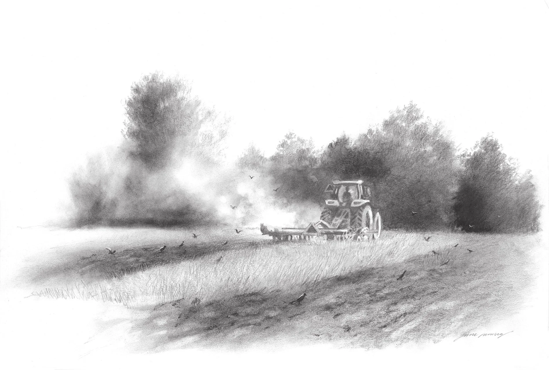 GALLERY — Simons fine art framing & gallery