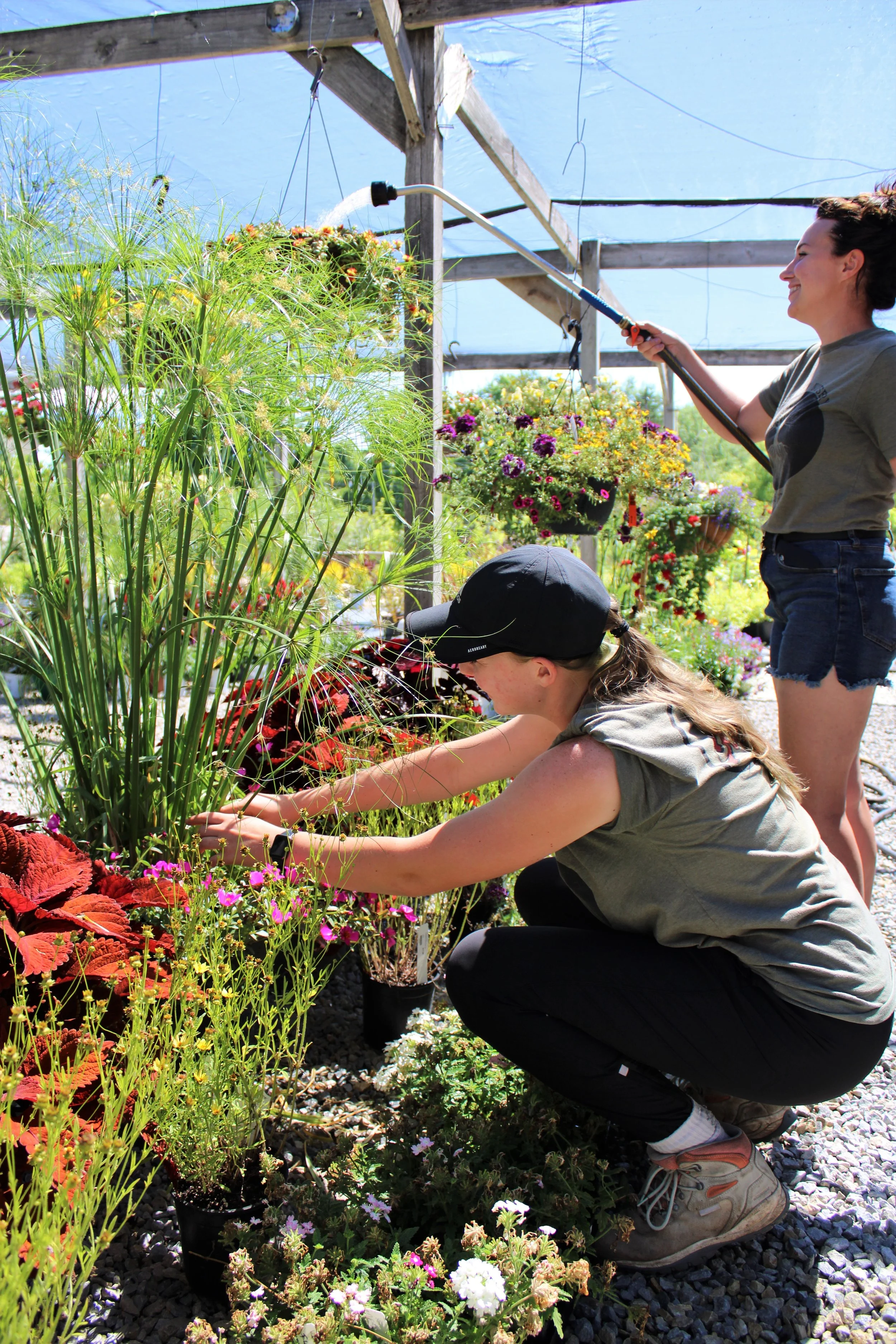 Garden Center Careers — Rose City Nursery
