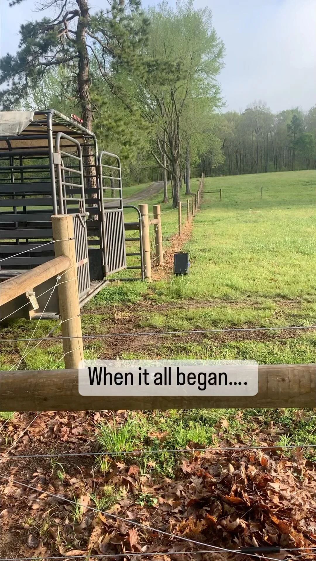 Double B Farm & Ranch | Responsibly Raised Beef | Free-Range Eggs