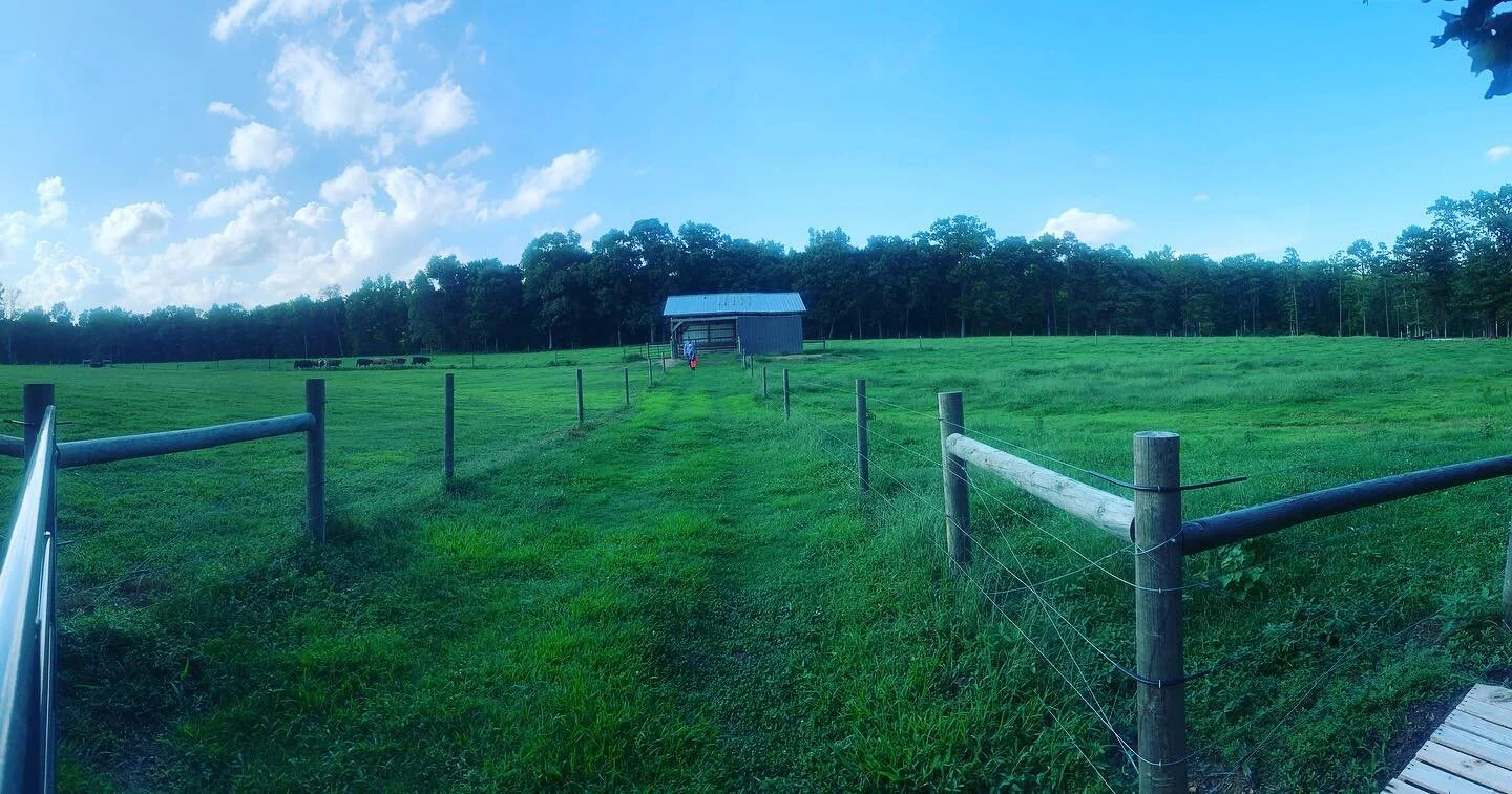 Double B Farm & Ranch | Responsibly Raised Beef | Free-Range Eggs