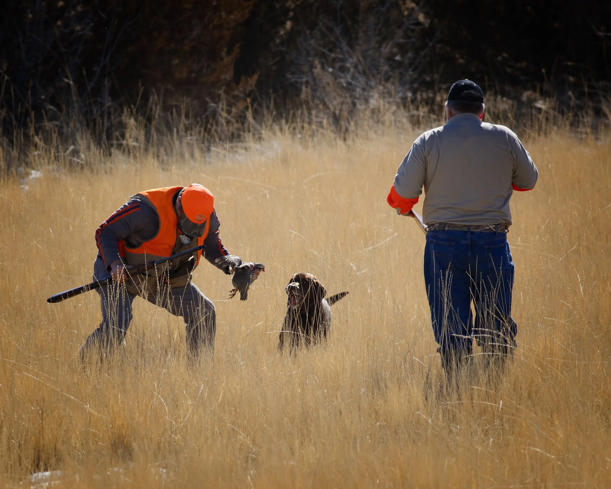 Black Canyon Wing & Clay
