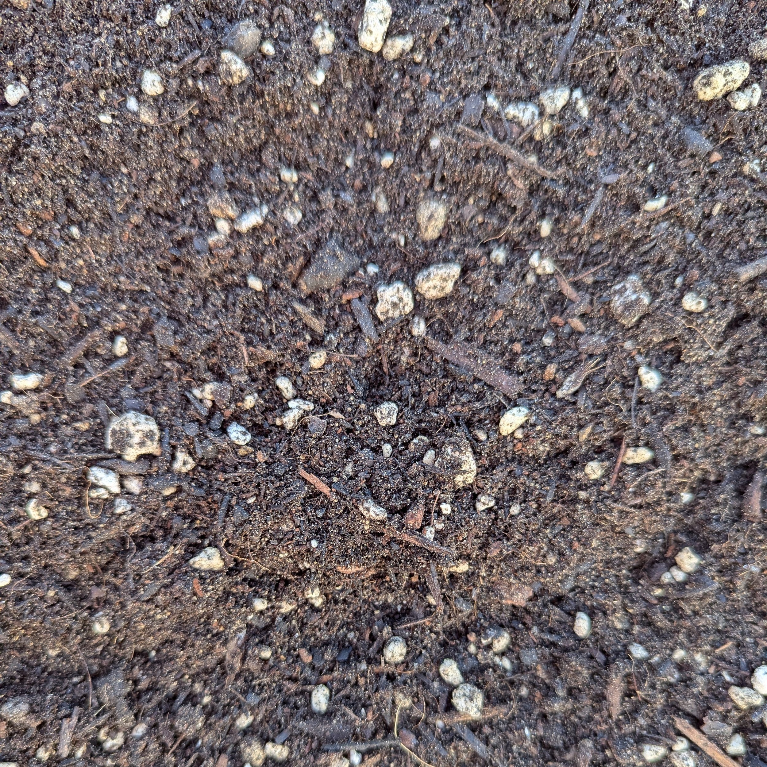Soil and Compost — Acapulco Rock and Soil Topsoil and Gravel in ...