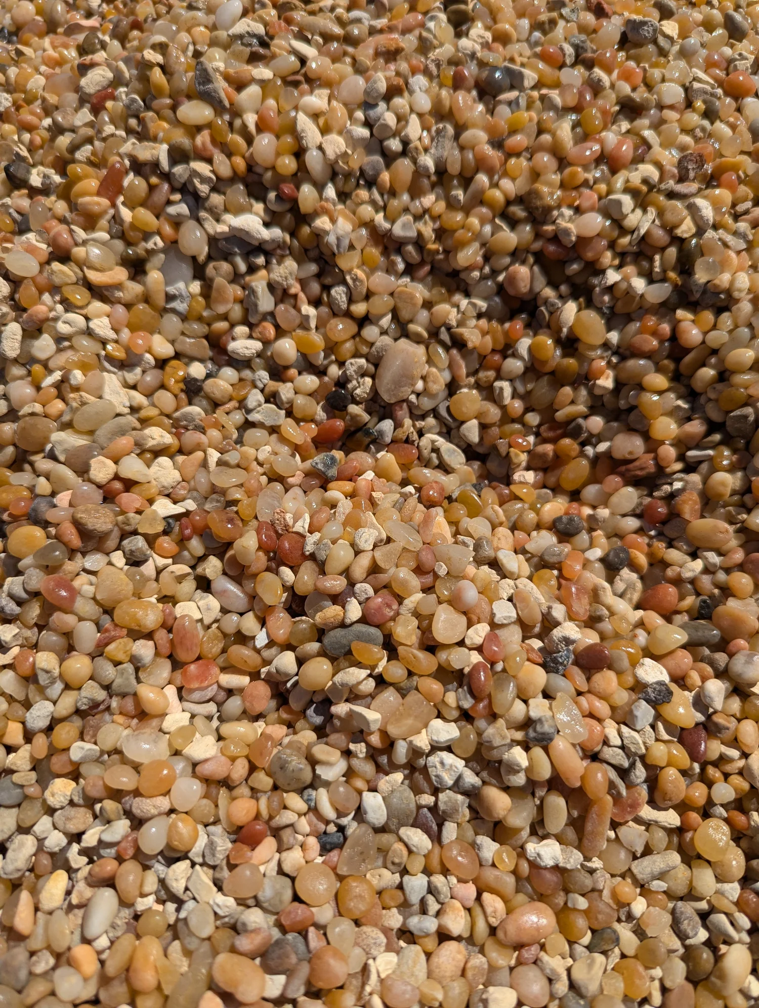 Pebbles — Acapulco Rock and Soil Topsoil and Gravel in Richmond, CA ...