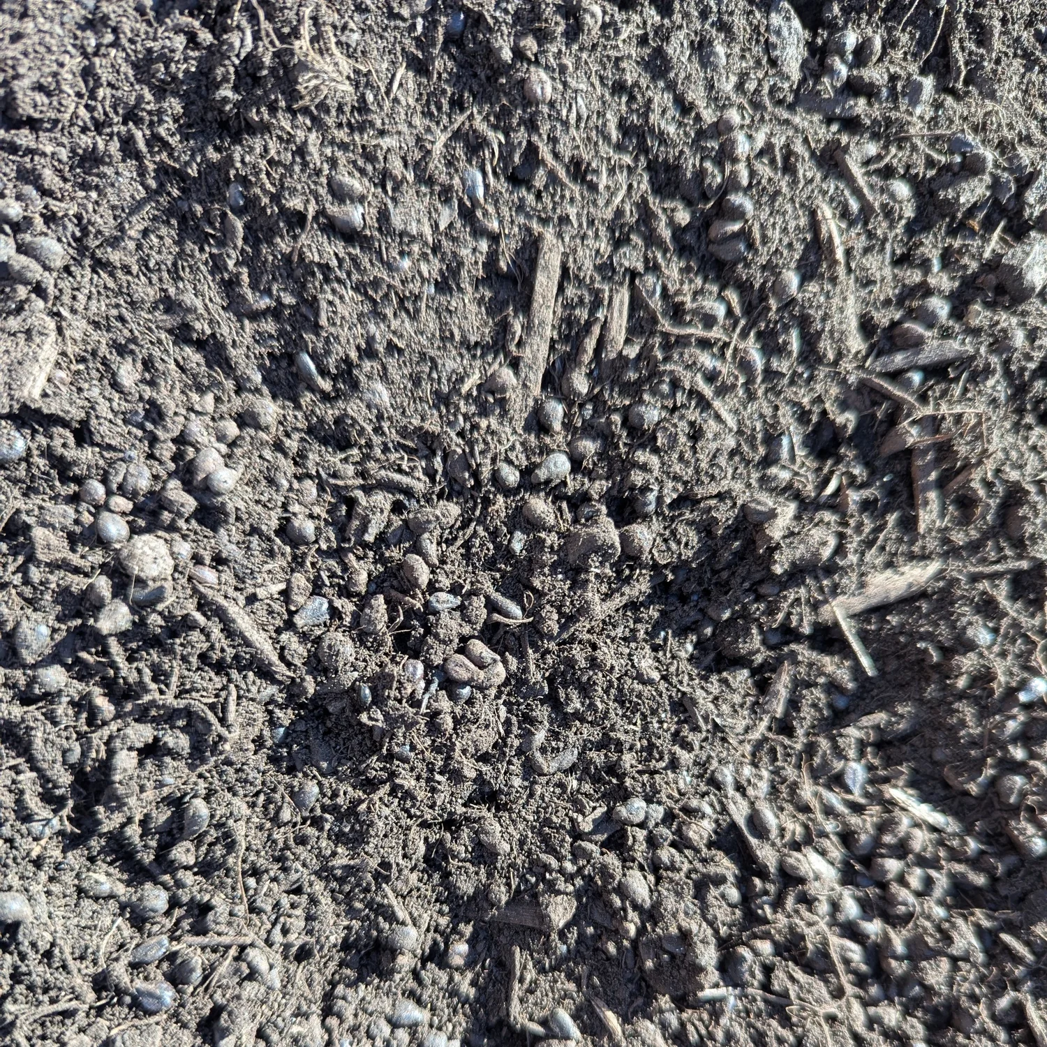 Soil and Compost — Acapulco Rock and Soil Topsoil and Gravel in ...