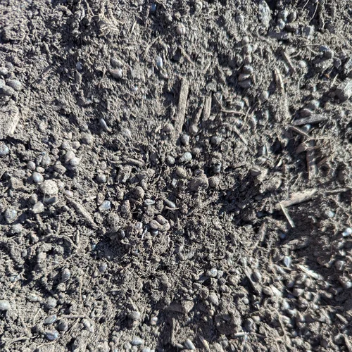 Soil and Compost — Acapulco Rock and Soil Topsoil and Gravel in ...