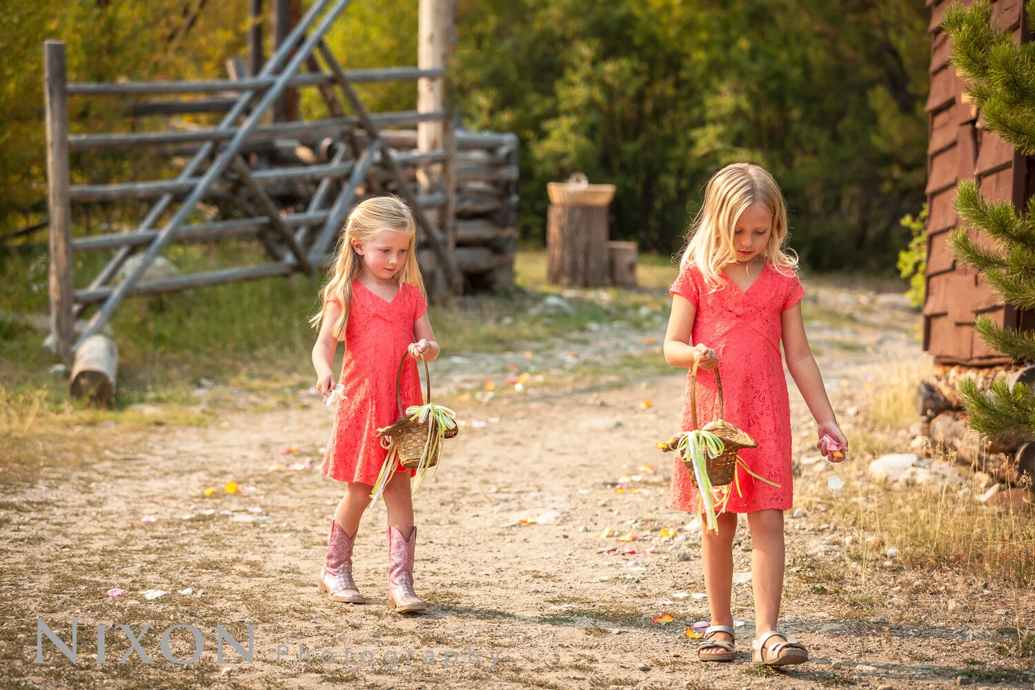 Weddings — Diamond D Ranch