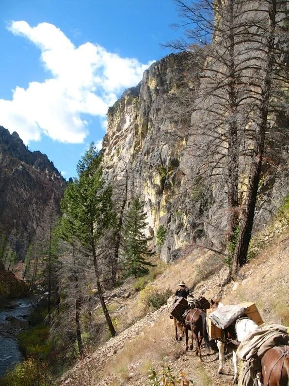 Hunting — Diamond D Ranch Idaho