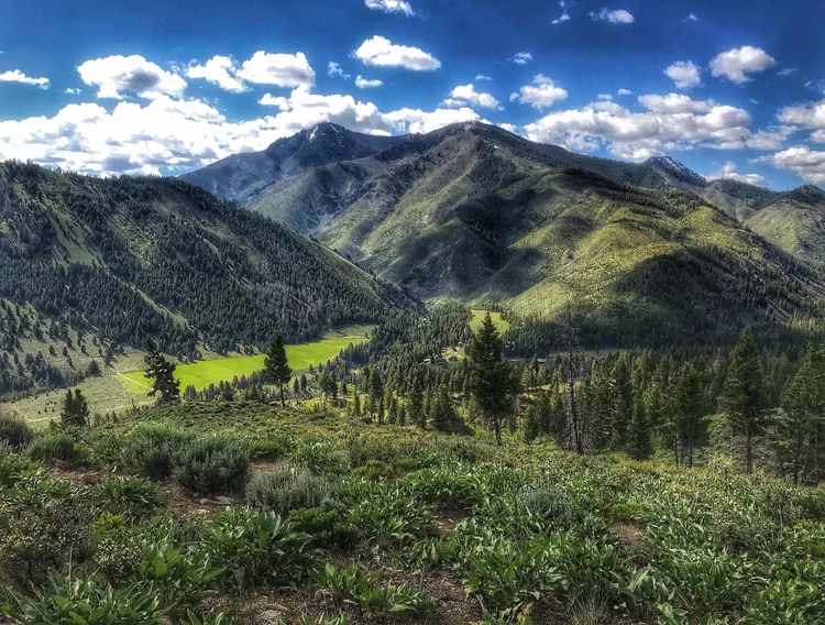 Photo Gallery — Diamond D Ranch Idaho