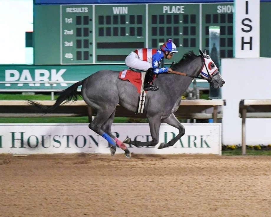 Gallery 1 — VALOR FARM