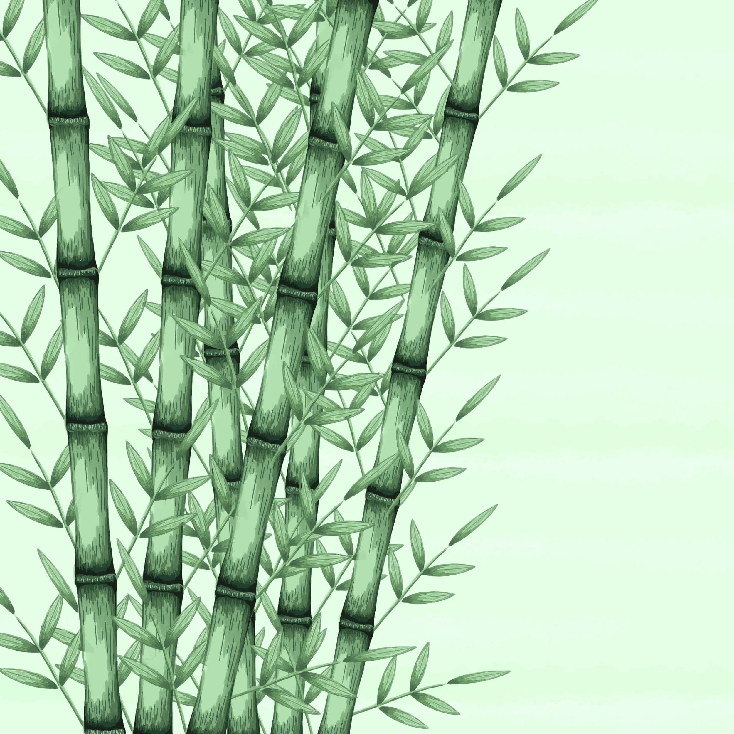 Chip Ingram — RAPT Interviews