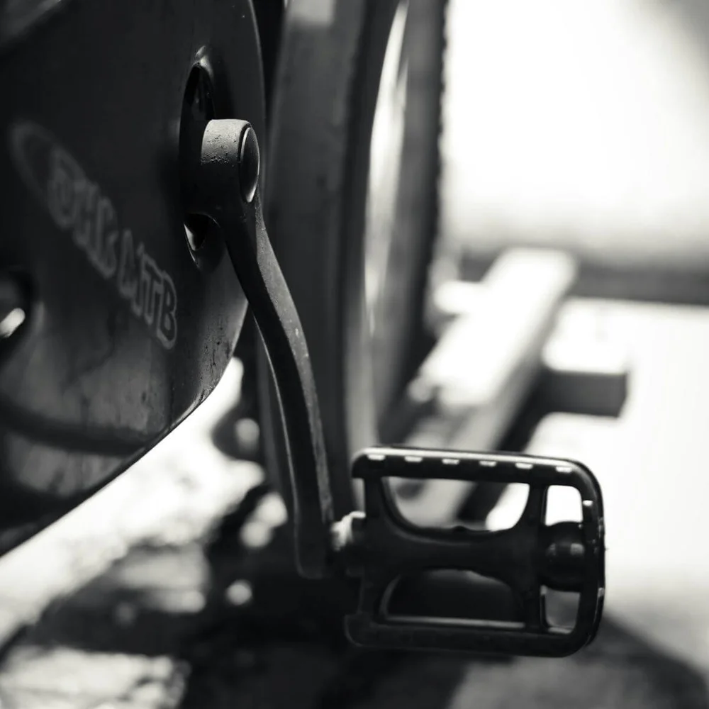 Sarah Westfall — RAPT Interviews