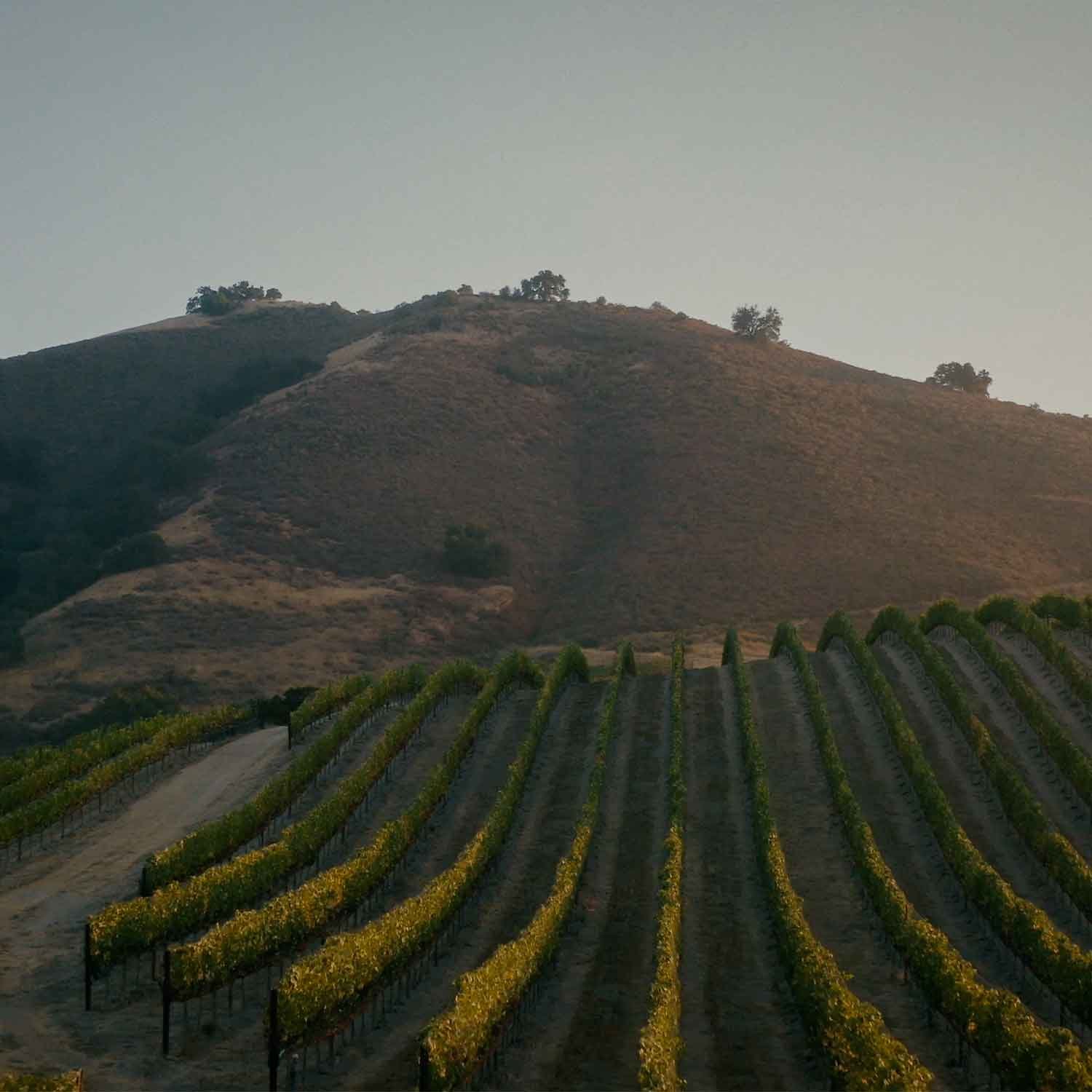 Our Philosophy — Holman Ranch