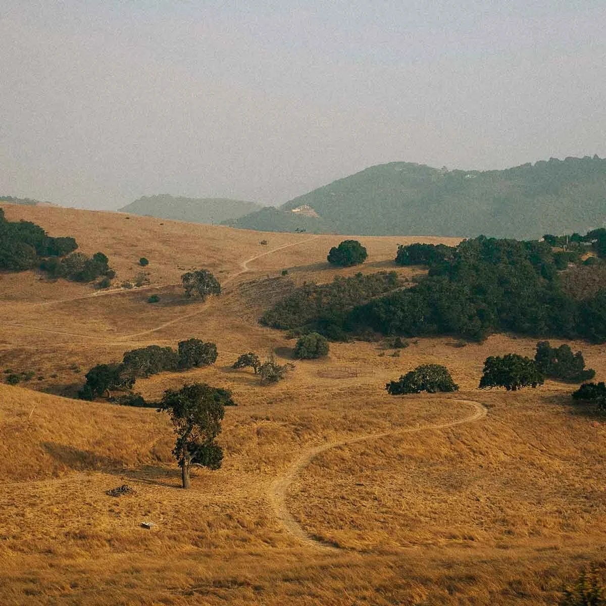 Tasting Room — Holman Ranch