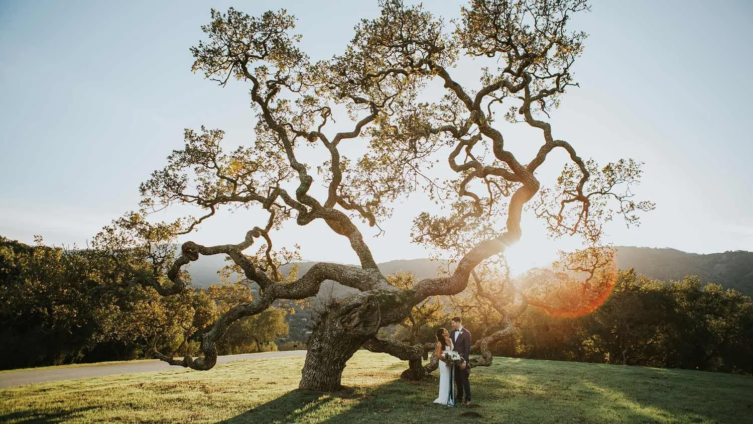 Weddings — Holman Ranch