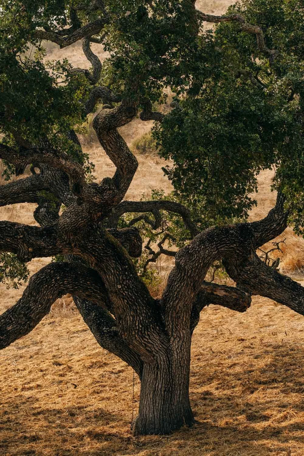 Our Philosophy — Holman Ranch