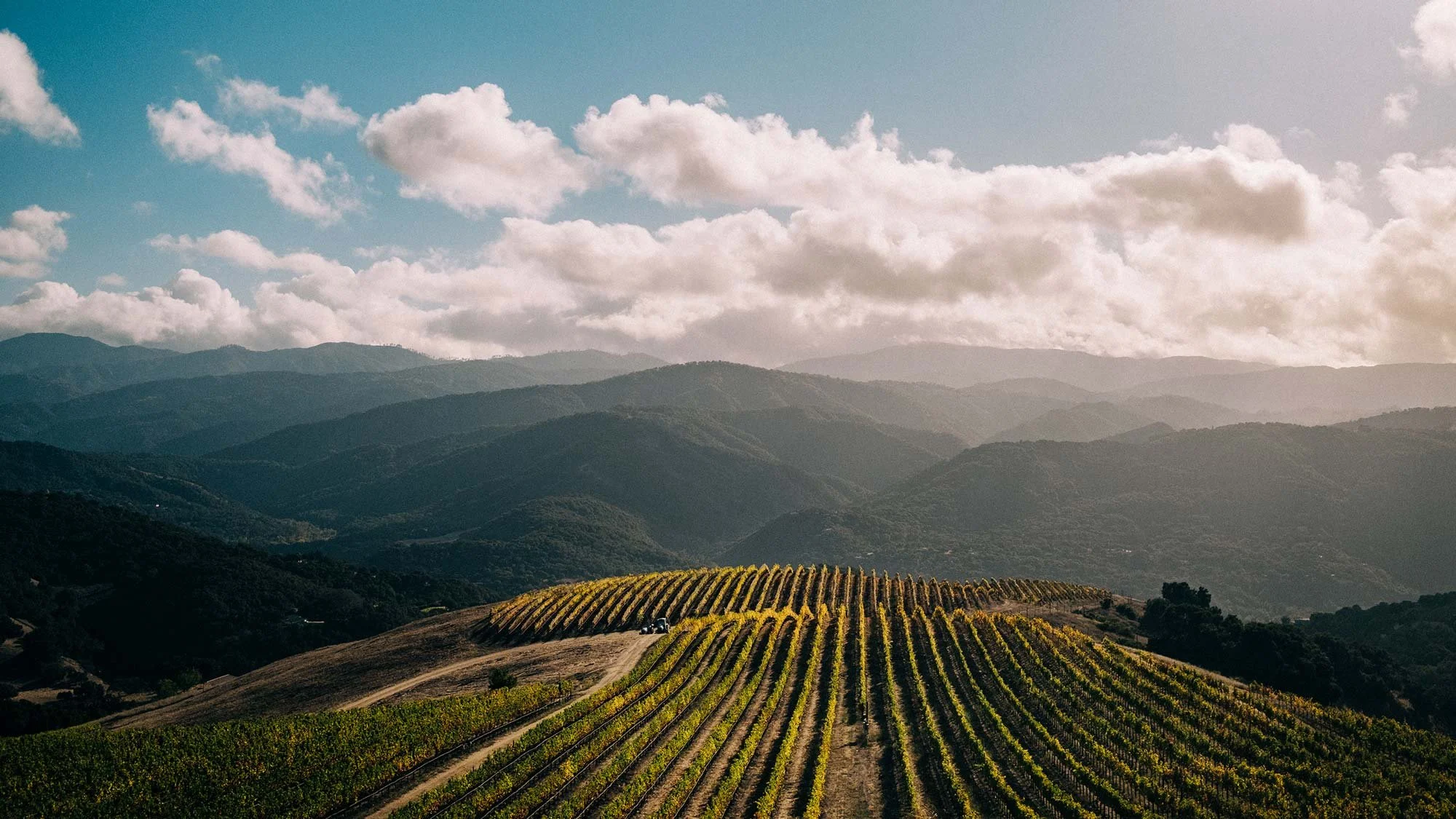 Corporate — Holman Ranch