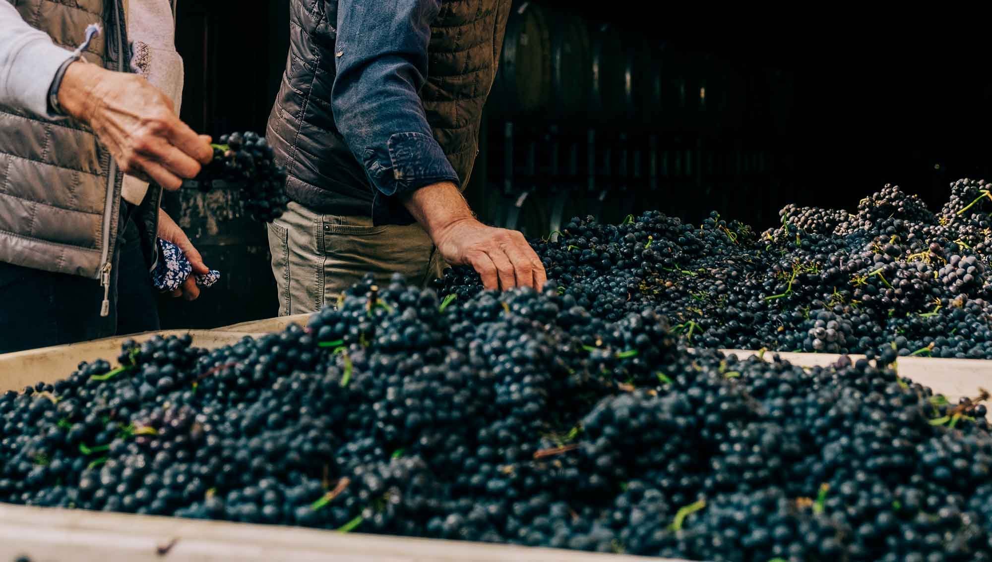 Our Team — Holman Ranch