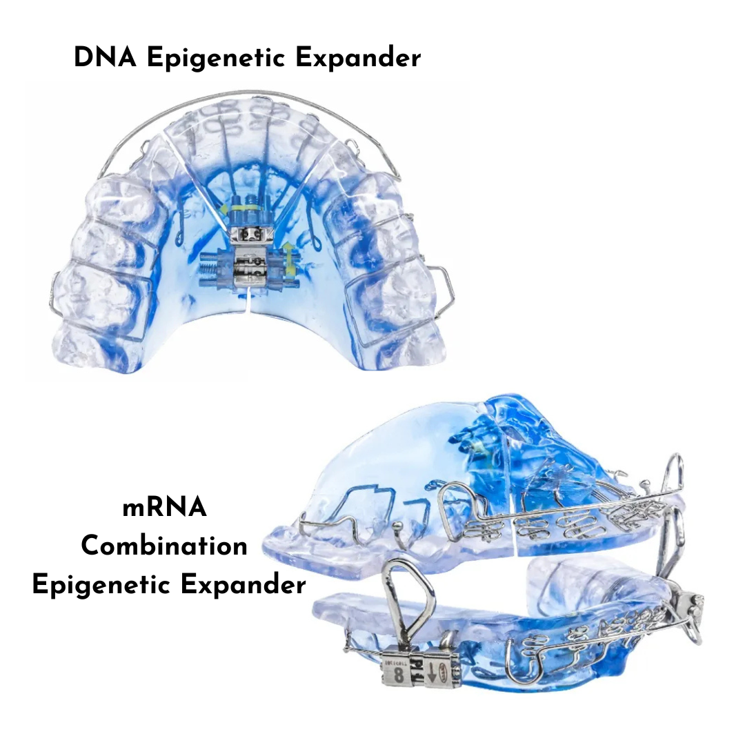 Adult Epigenetic Therapy — Revive Sleep Studio