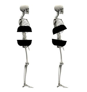 How to Fix Lower Back Pain From Overhead Press — Dr. Beth Ansley ...