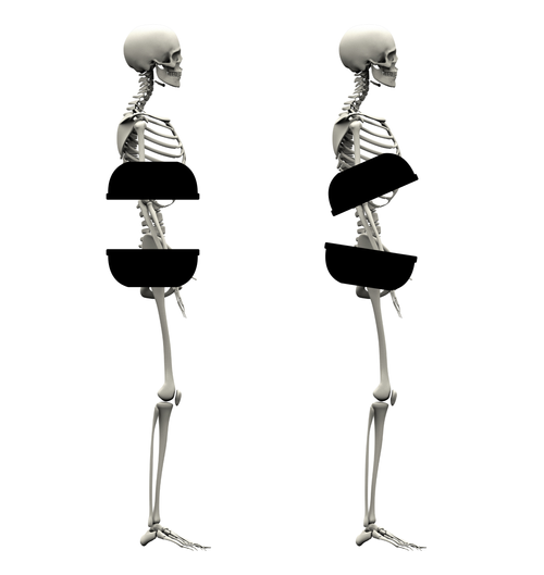 How to Fix Lower Back Pain From Overhead Press — Dr. Beth Ansley ...