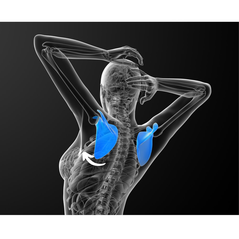 How to Fix Lower Back Pain From Overhead Press — Dr. Beth Ansley ...