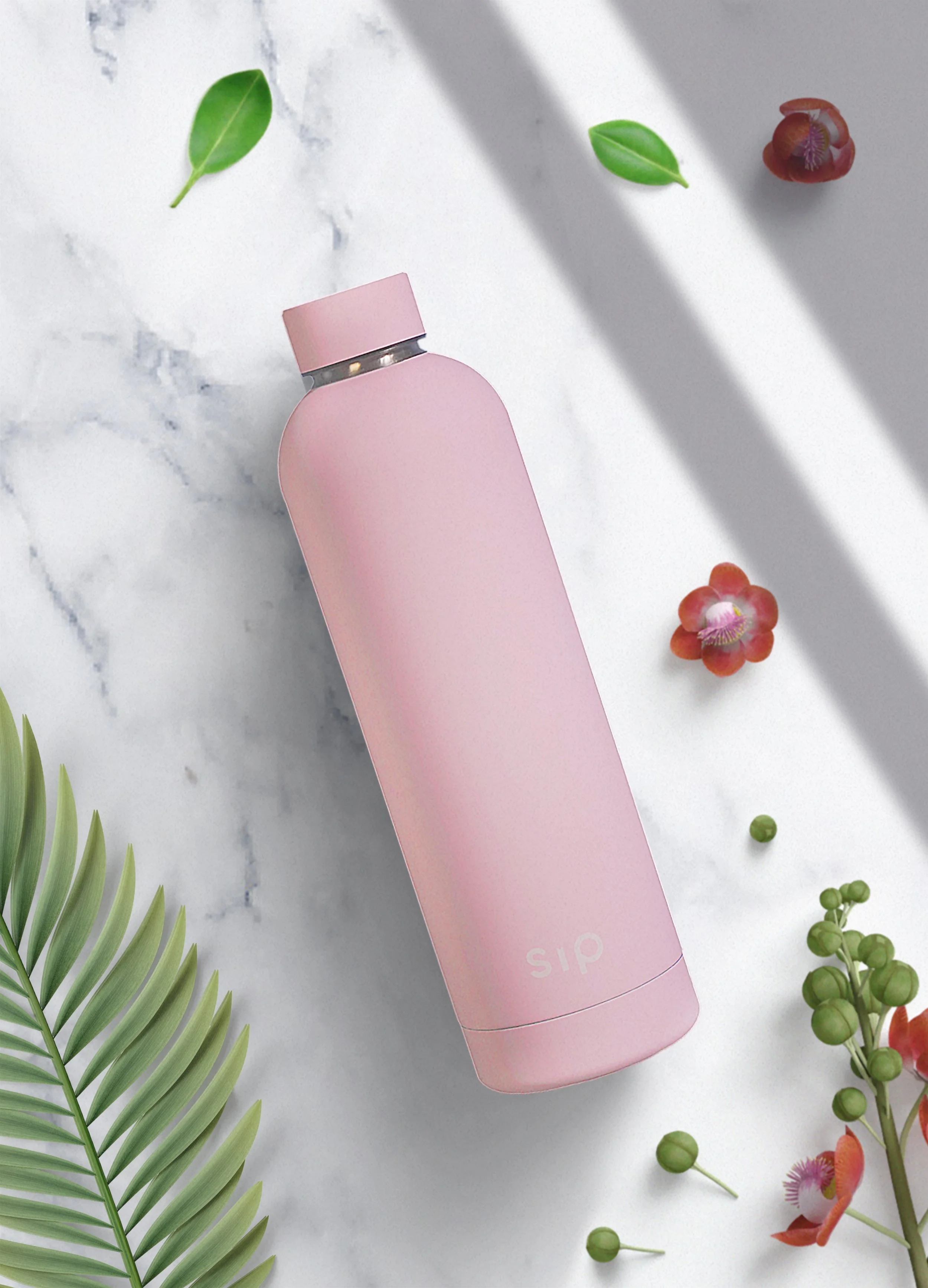 Eco Friendly Biodegradable Straws | Sip Co