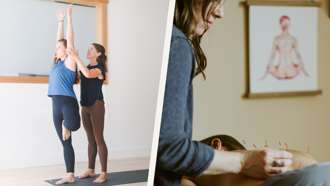 Yoga Workshops, Events, and Trainings at Bellingham Yoga Collective ...
