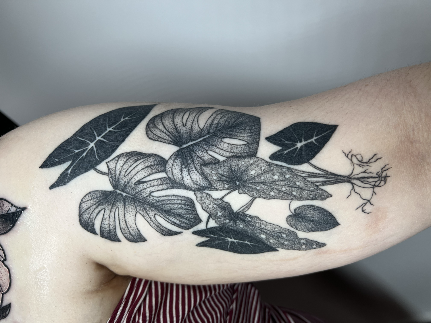Kyra - Resident Artist — Love Struck Tattoo
