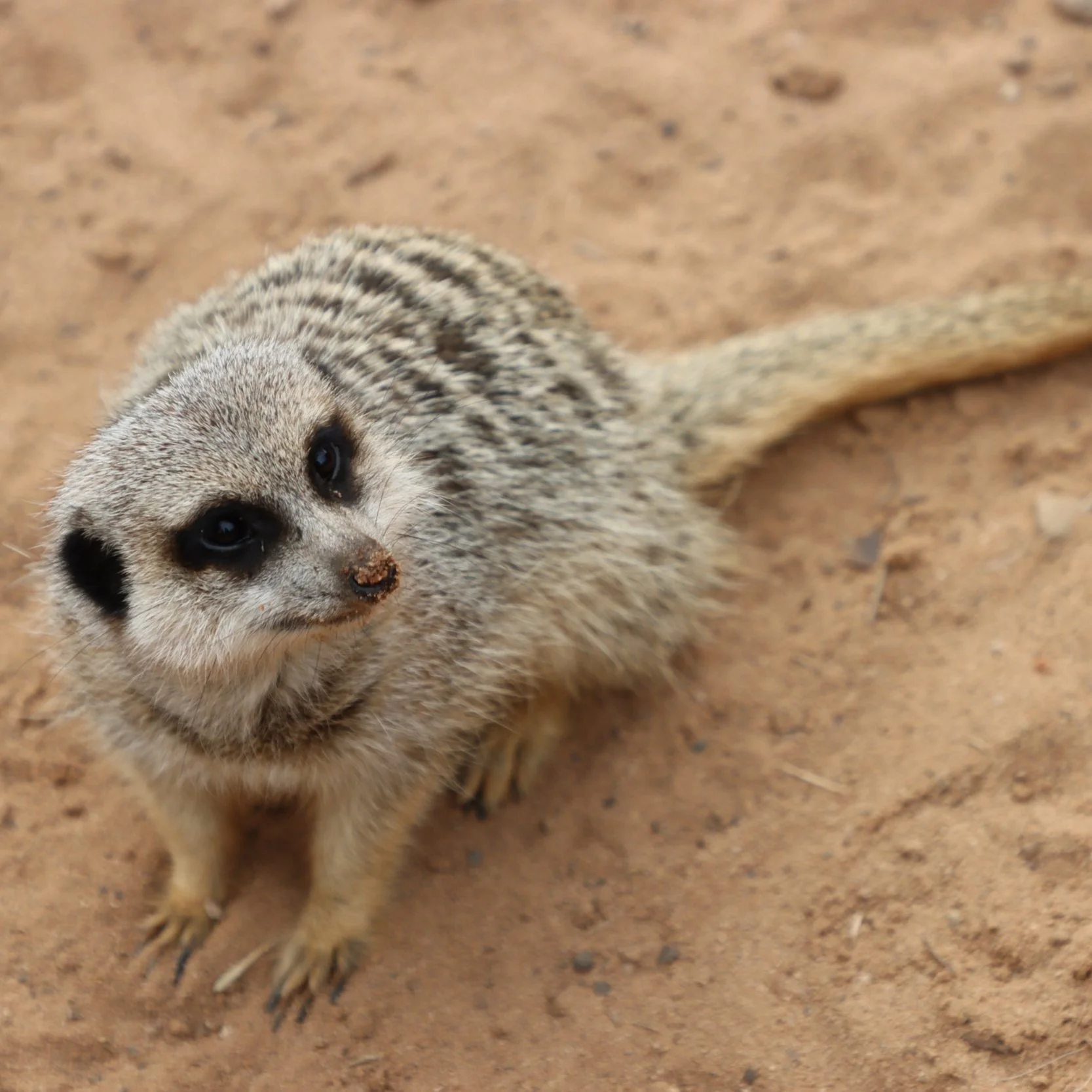 Hunting in South Africa related Questions and Answers. — Hunting ...