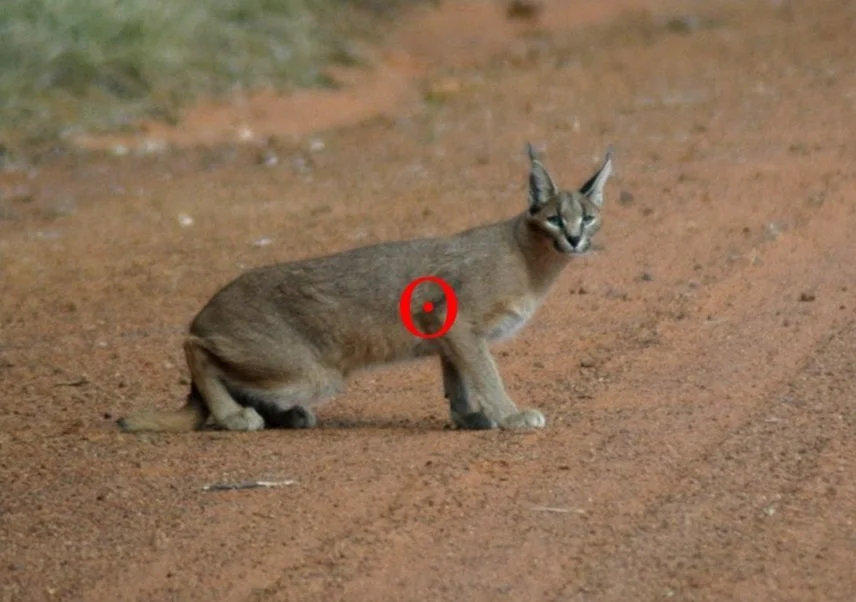 Hunting Safaris in South Africa