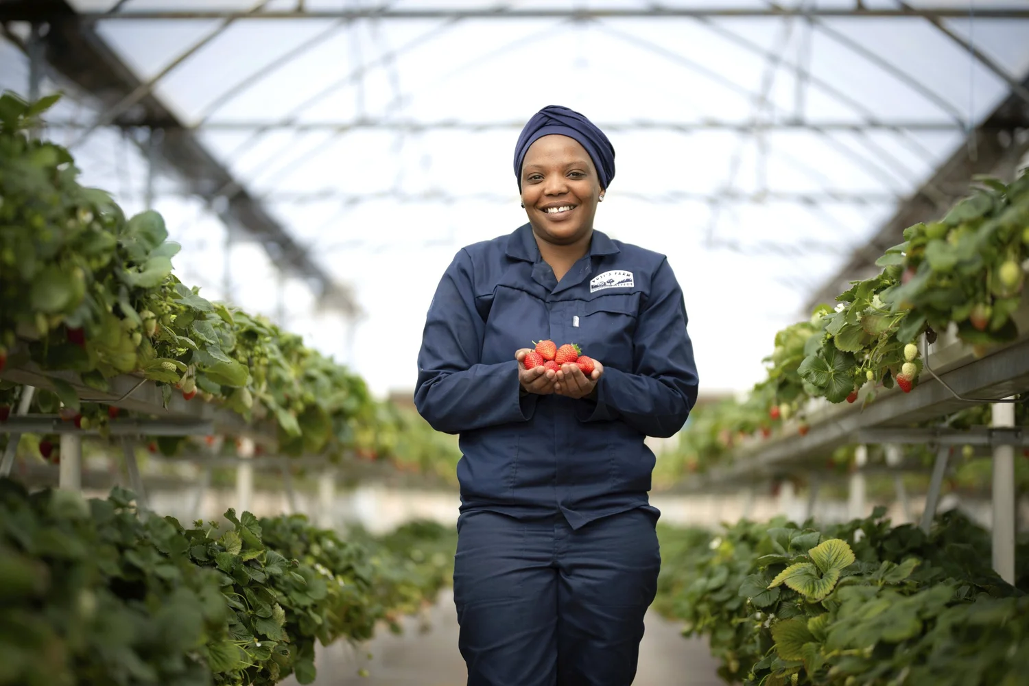 Vusi's Farm