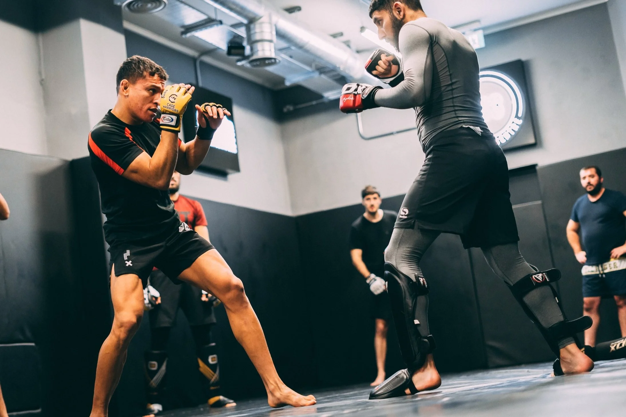 Leyton — 313 Fitness