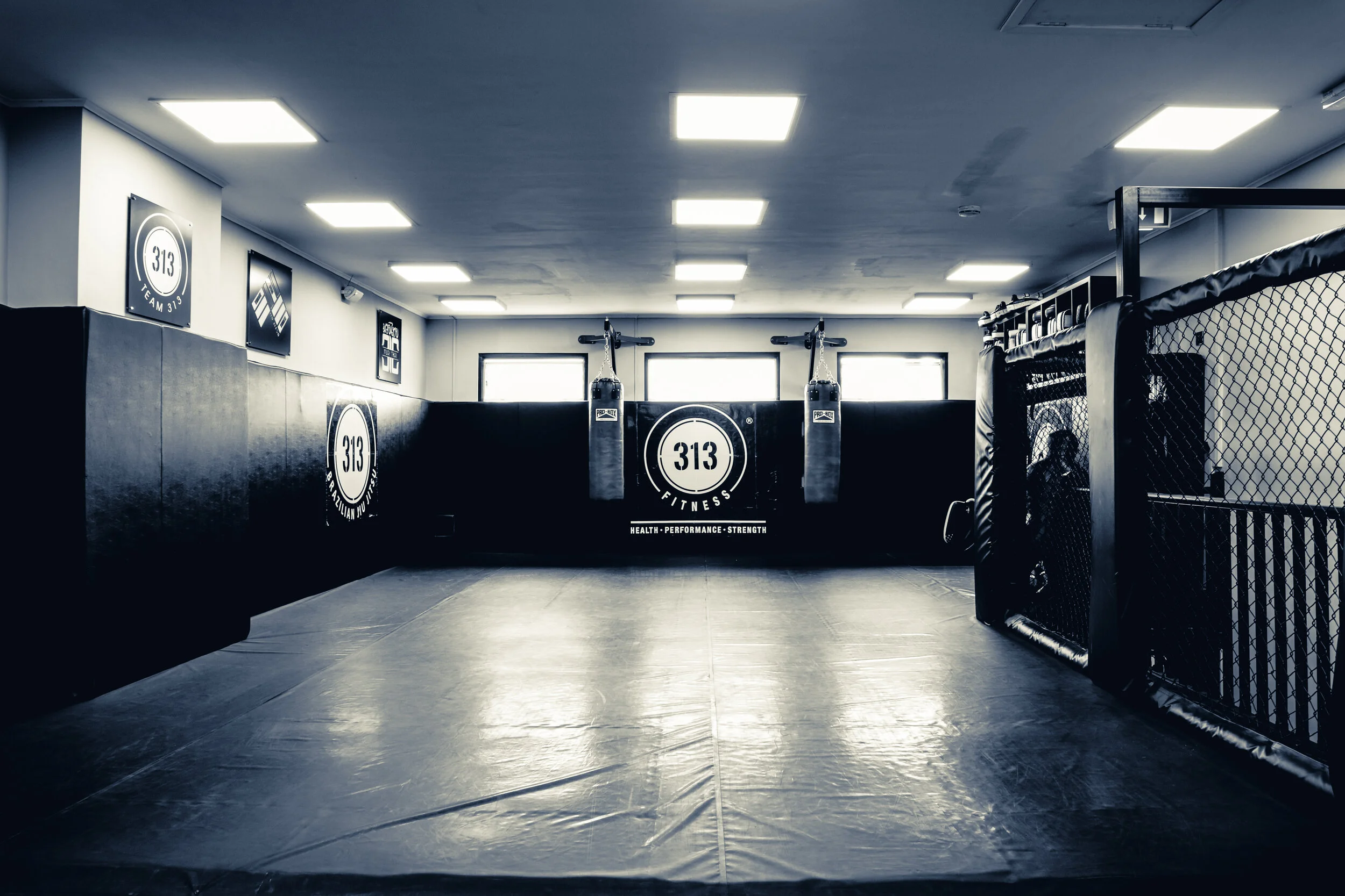 313 Fitness