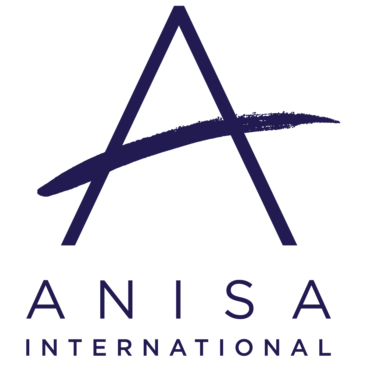 Anisa International