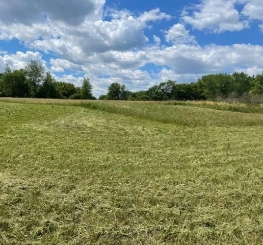 Patch of Heaven Farm