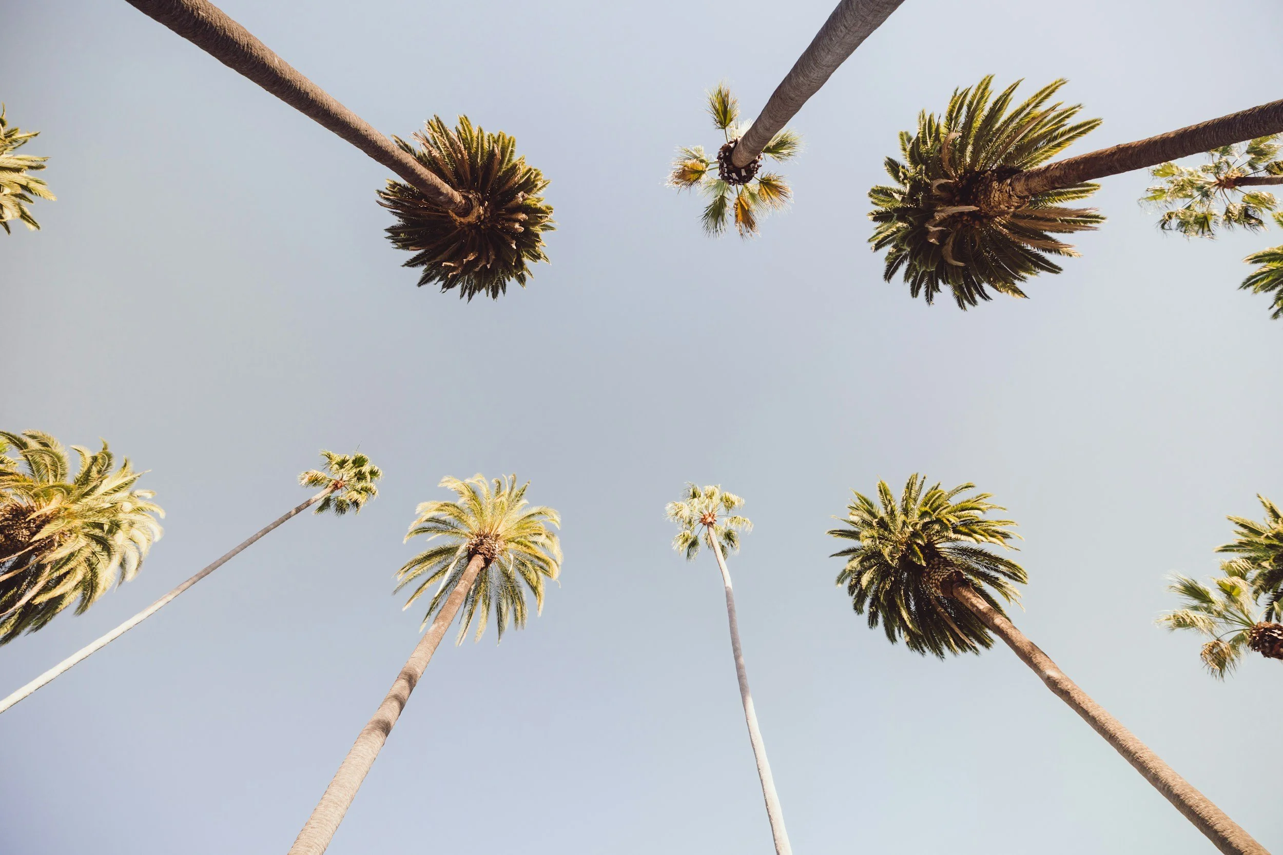 Examples of Well-Written Obituaries: Honoring Lives with Dignity and ...