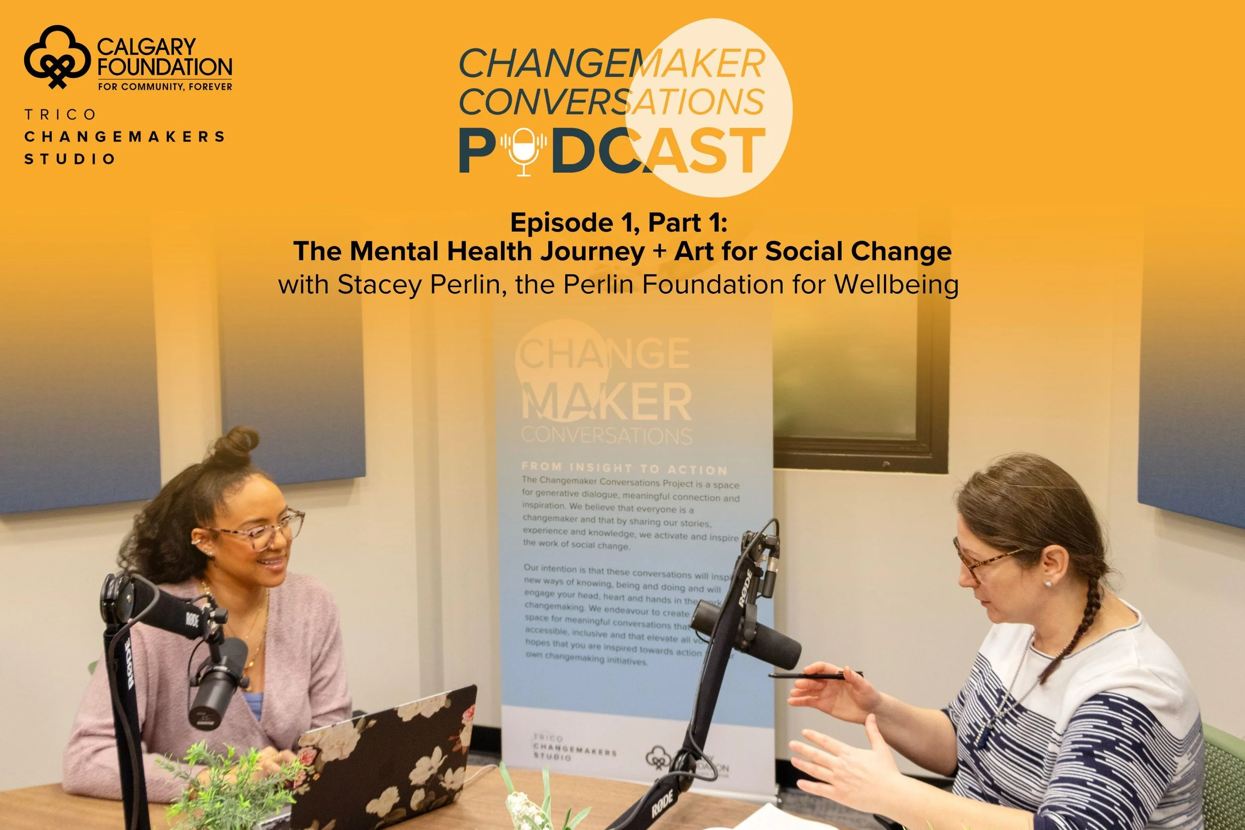 Changemaker Conversations Podcast — Trico Changemakers Studio