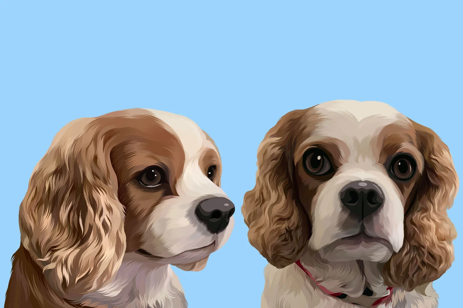 The Founder — Leonie Stratton – Boutique Finance Perth