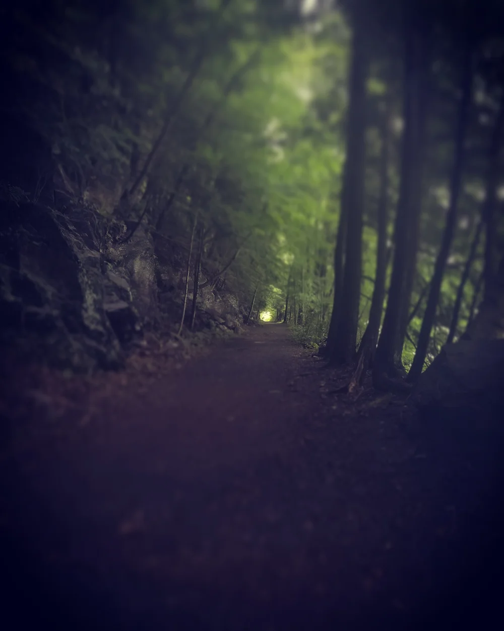 Support for Veterans and First Responders in Southern Vermont