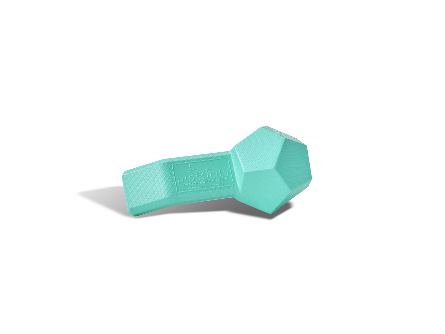 Plasticity Neurorehabilitation