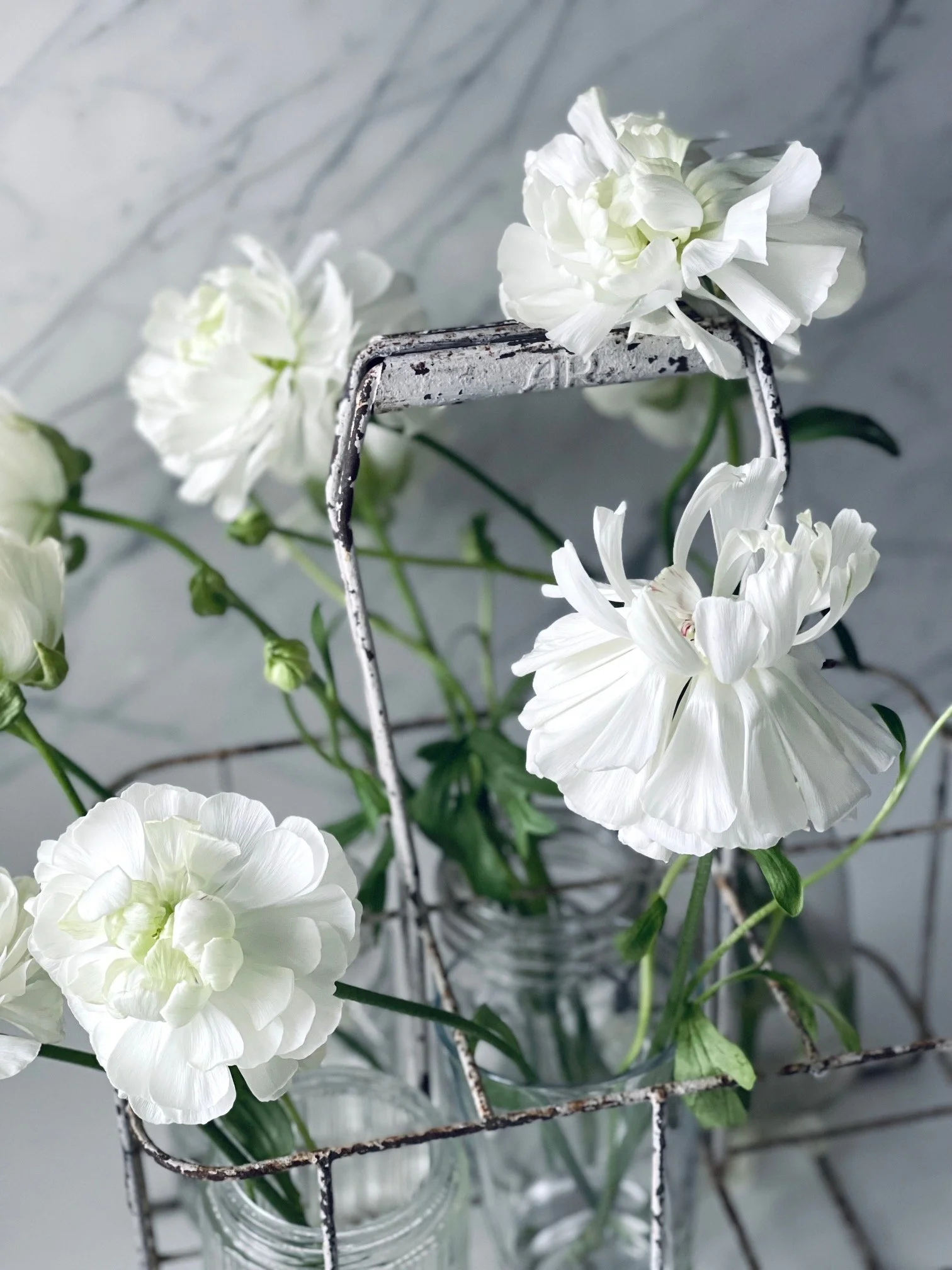 VINTAGE PORCELAIN BUTTER PAT DISH — Folly & Fine Company