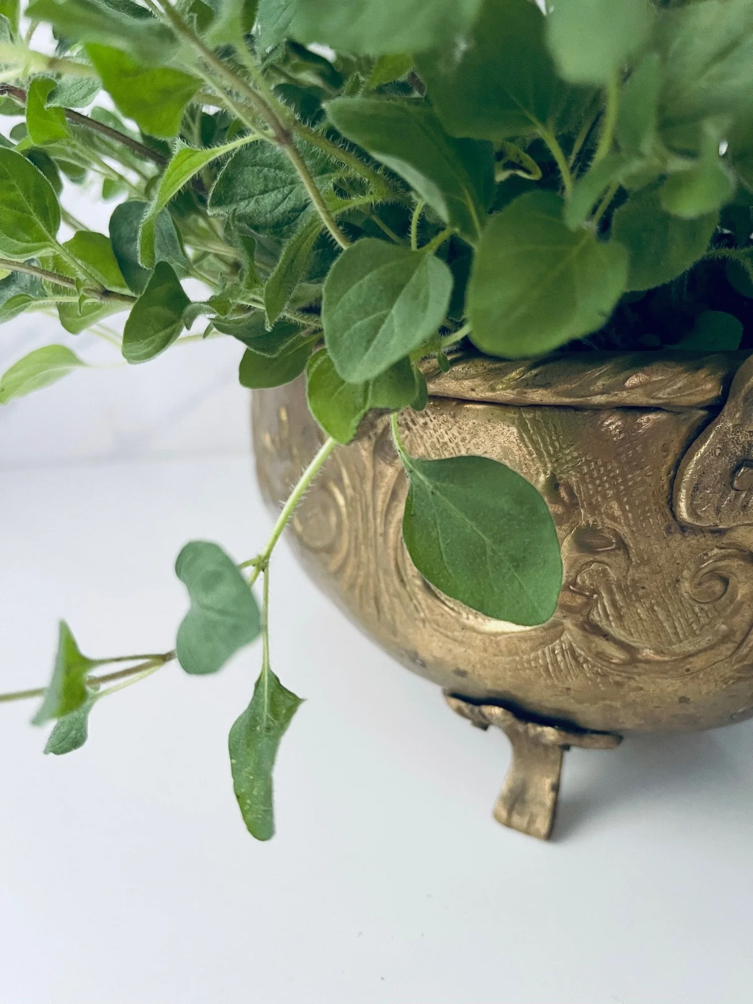 ANTIQUE FORTNUM & MASON ROYAL FALCON IRONSTONE PUDDING BOWL | ENGLAND ...