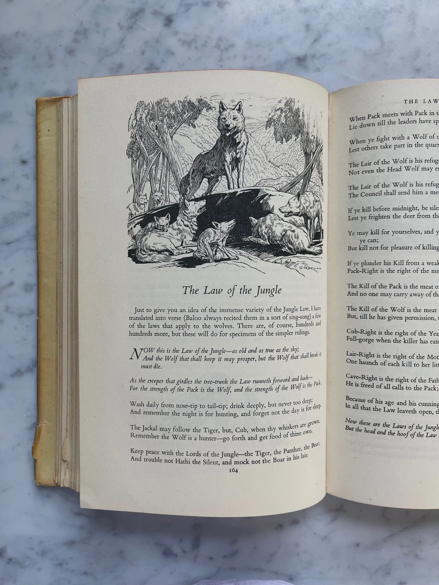 CANADIAN PAINTINGS, PRINTS AND DRAWINGS | ANNE NEWLANDS HARDCOVER ...