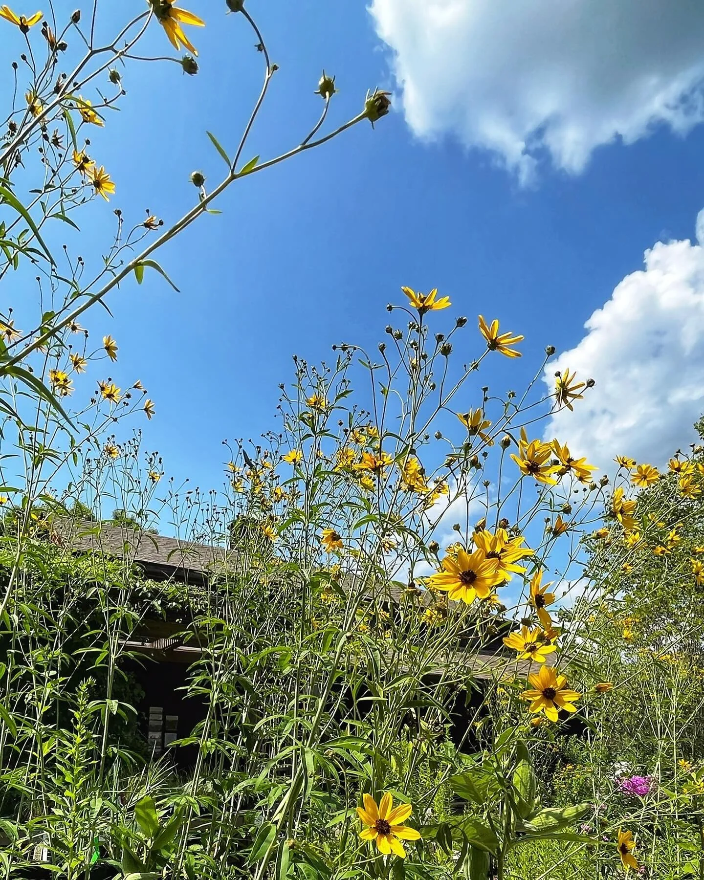 Singularly Sensitive®