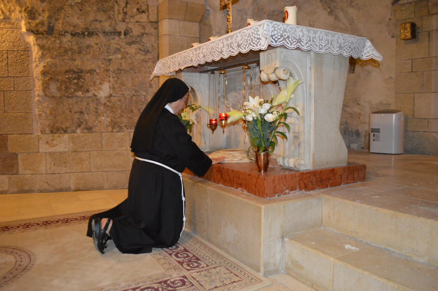 Franciscan Missionary Sisters of the IHM