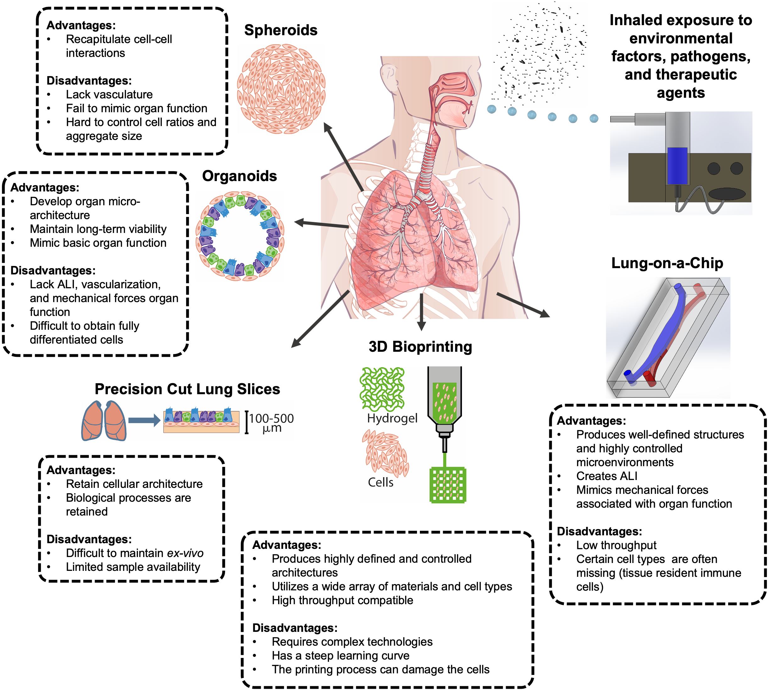 Publications — Benam Lab