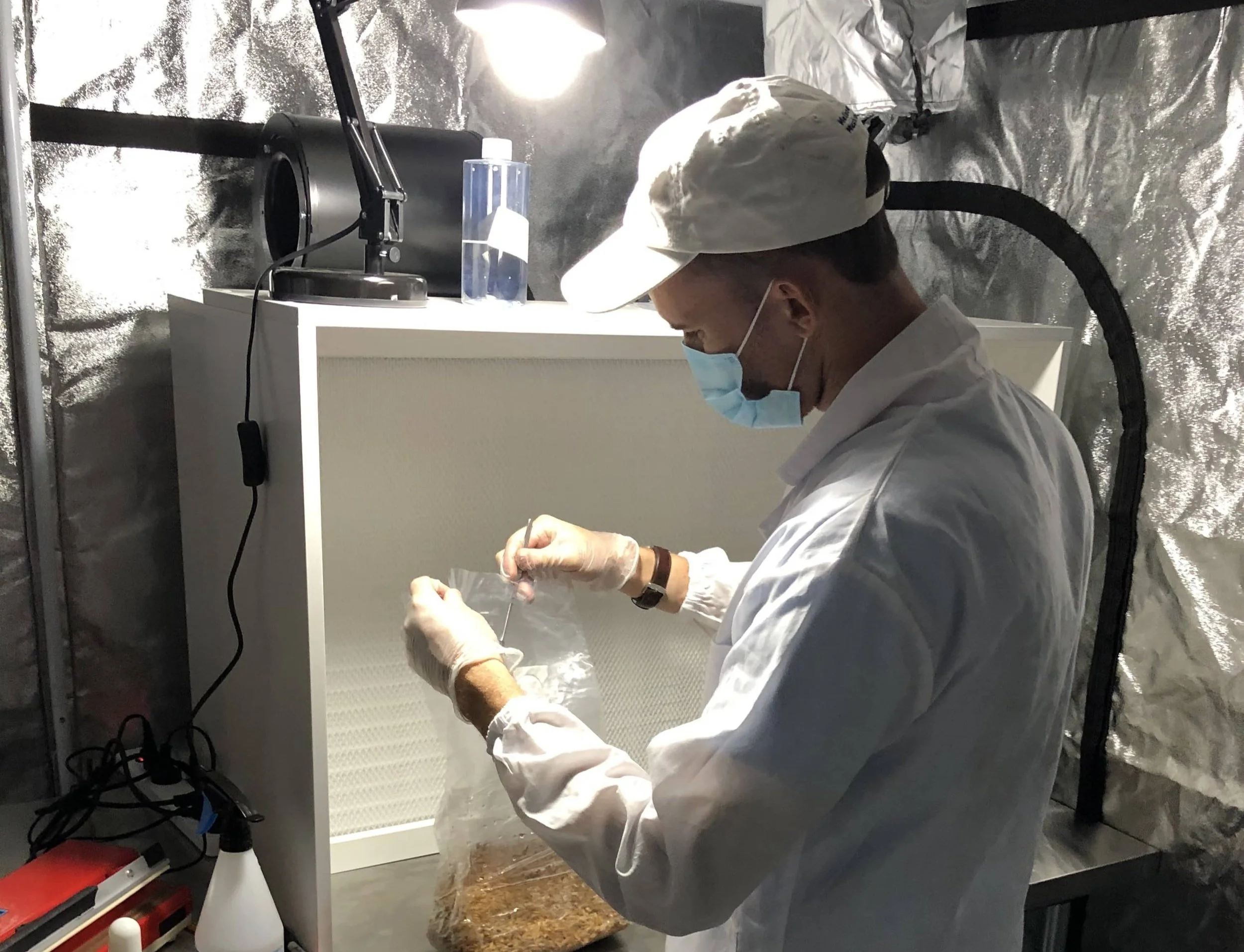 Our Process — Melbourne Mushrooms